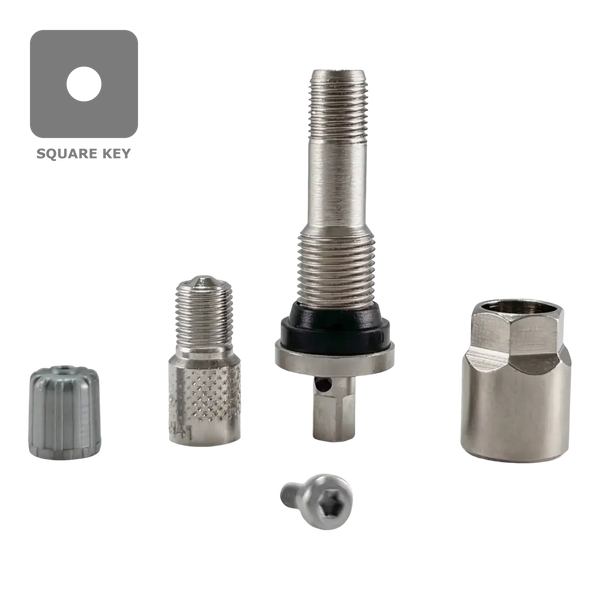 Dill VS241 TPMS Aluminum Stem Service Kit for Ford Super Duty – All ...