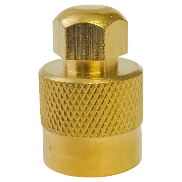 Large Bore Hexagonal Top Cap for 0.482-26 Valve Cap – All Tire Supply