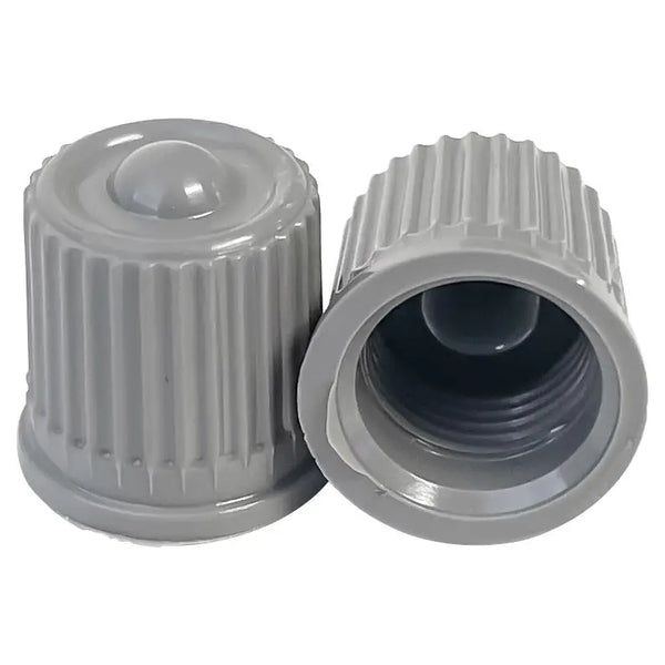 AA Premium Silver TPMS Valve Caps - 100/Bag – All Tire Supply