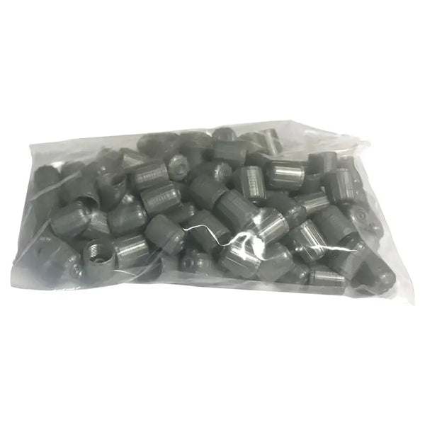 AA Silver TPMS Valve Caps - Tight Seal for Shops – All Tire Supply