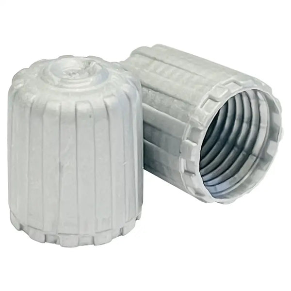 Schrader Grey Plastic Valve Cap, 100/Box - Lightweight – All Tire Supply